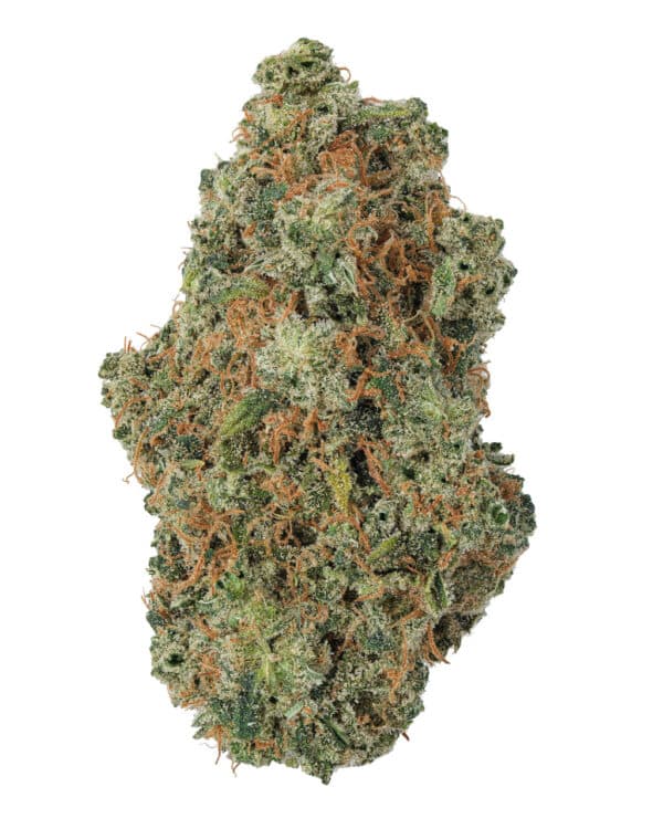 Colombian Gold High THCa Hemp Flower - Piedmont Green Dispensary